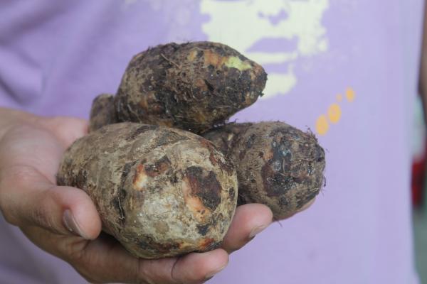 Danilo | Save the Children