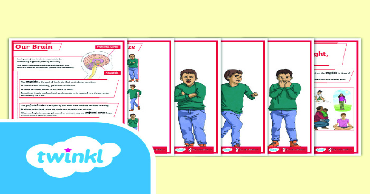 Fight, Flight and Freeze Resources — Save the Children NZ