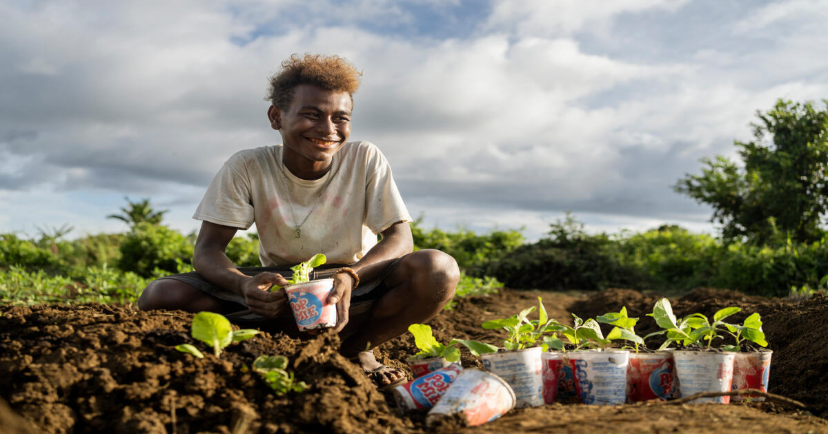 Solomon Islands Livelihoods — Save the Children NZ