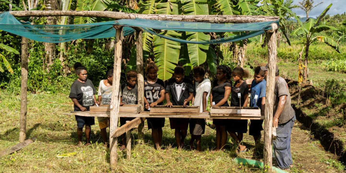 Solomon Islands Livelihoods — Save the Children