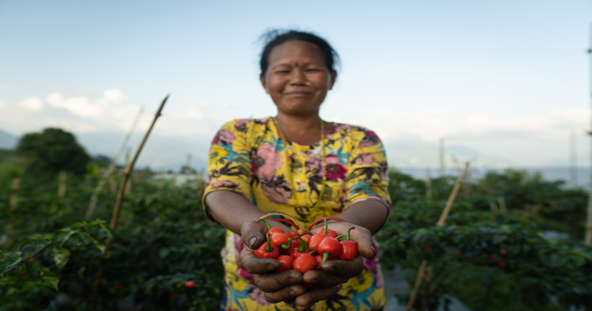 Children do better when family incomes increase — Save the Children NZ